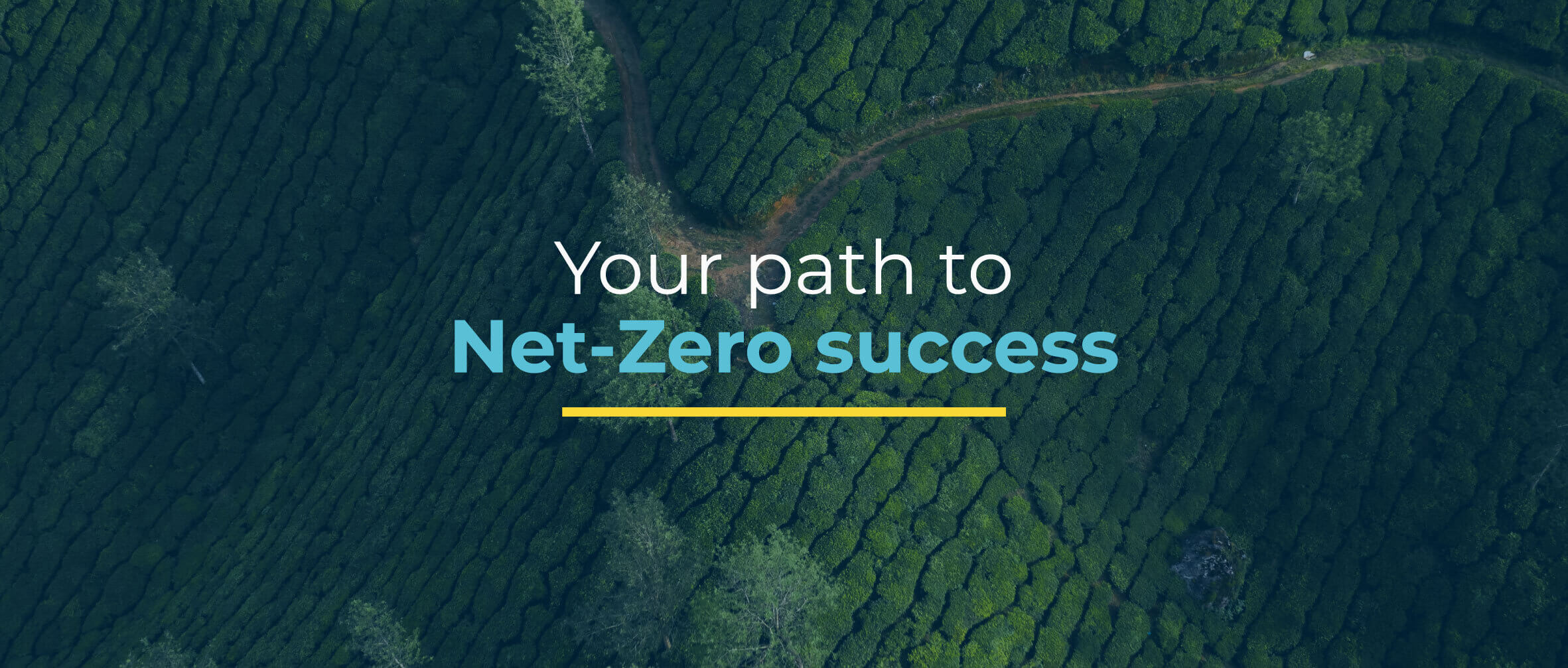 Unlocking Net-Zero Success with sustainability Software