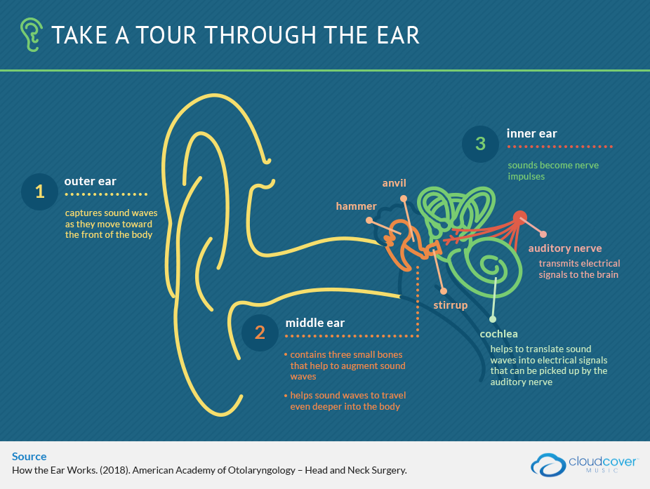 The Ultimate Guide to Hearing Loss Causes and Prevention - Deafblind UK