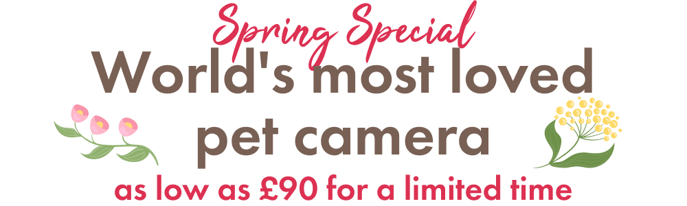 Furbo｜#1 Best-selling Interative Pet Camera Brand