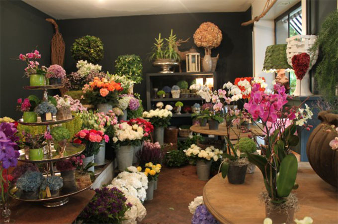 Tout savoir sur l’agencement d’un magasin de fleurs.