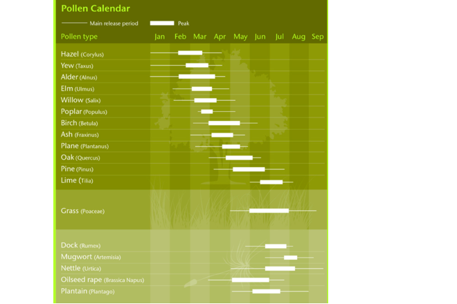 How To Deal With Hay Fever - Netmums