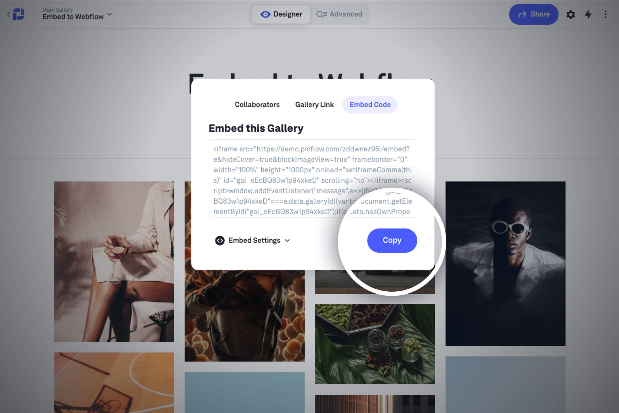 How to Embed a Photo Gallery on Webflow?