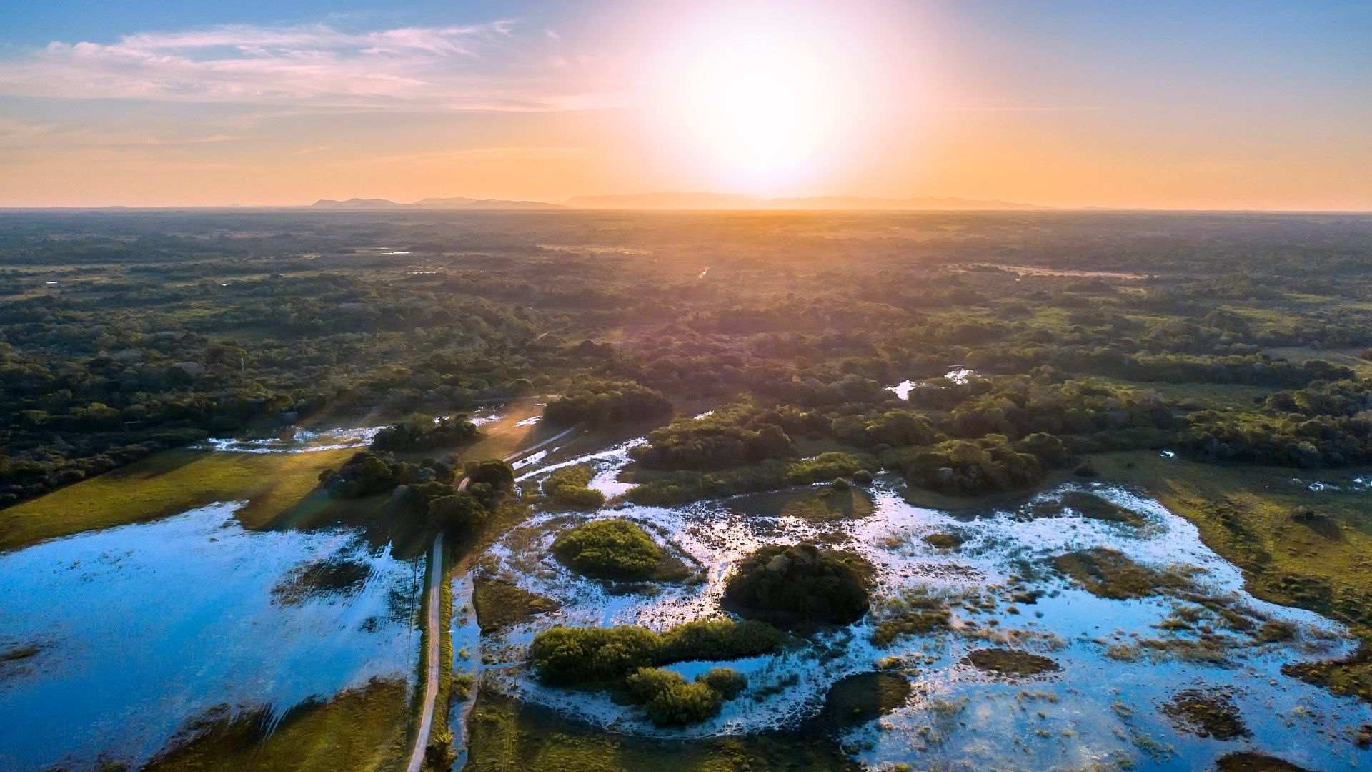 Guia Completo do Pantanal - Bonitour